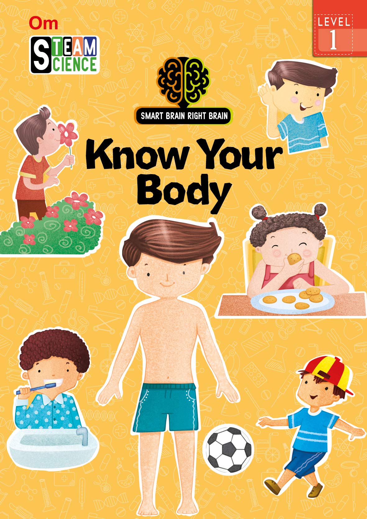SMART BRAIN RIGHT BRAIN: SCIENCE LEVEL 1 KNOW YOUR BODY (STEAM ...