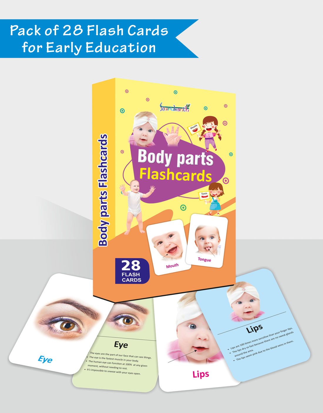 Body Parts Flash Cards For Kids – thecuriousbrains