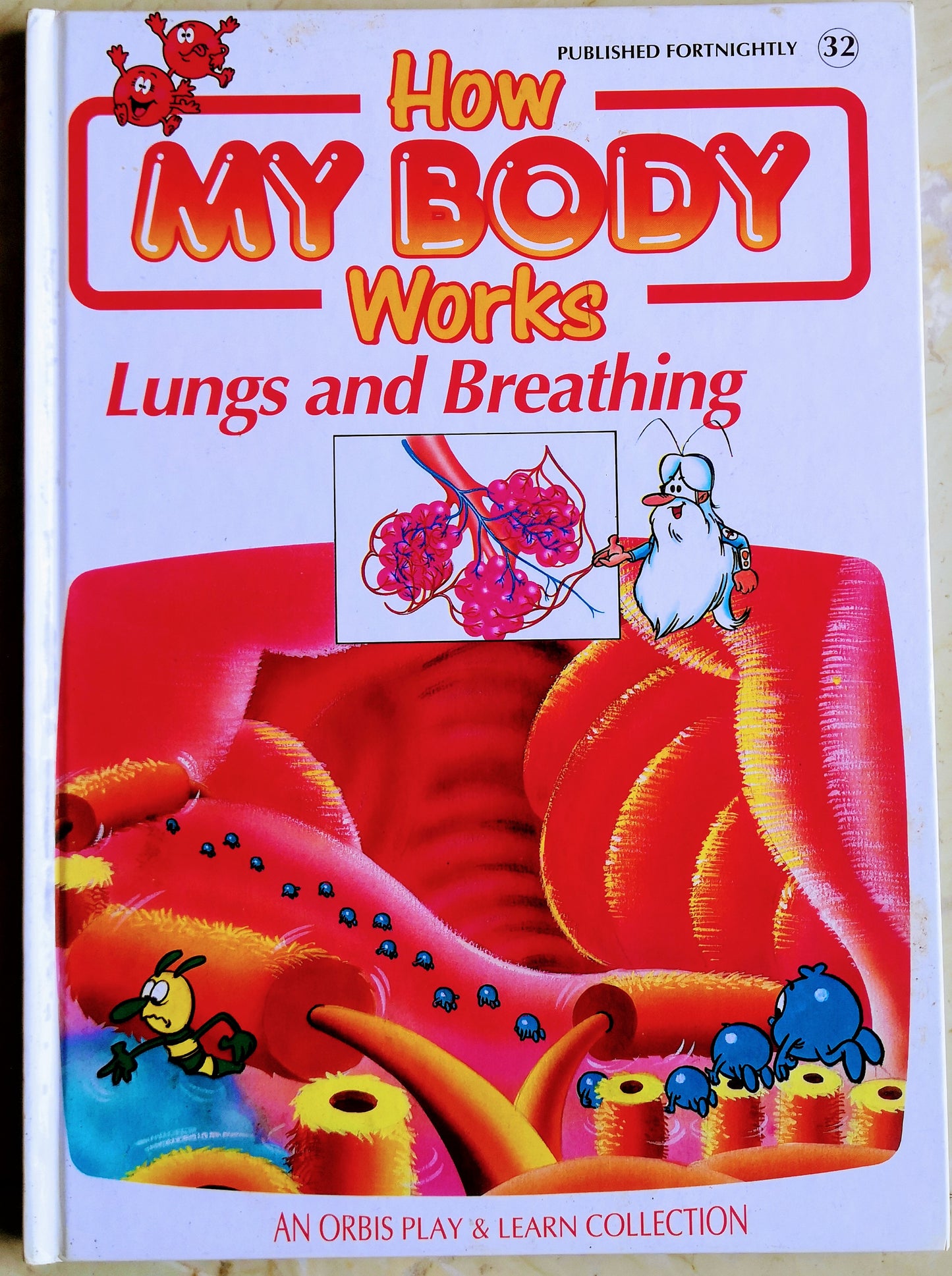 How My body works- Lungs and Breathing – thecuriousbrains
