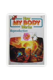 How my body works- Reproduction – thecuriousbrains
